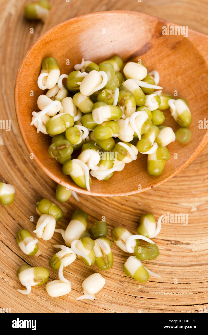 Sprouted mung beans Stock Photo - Alamy