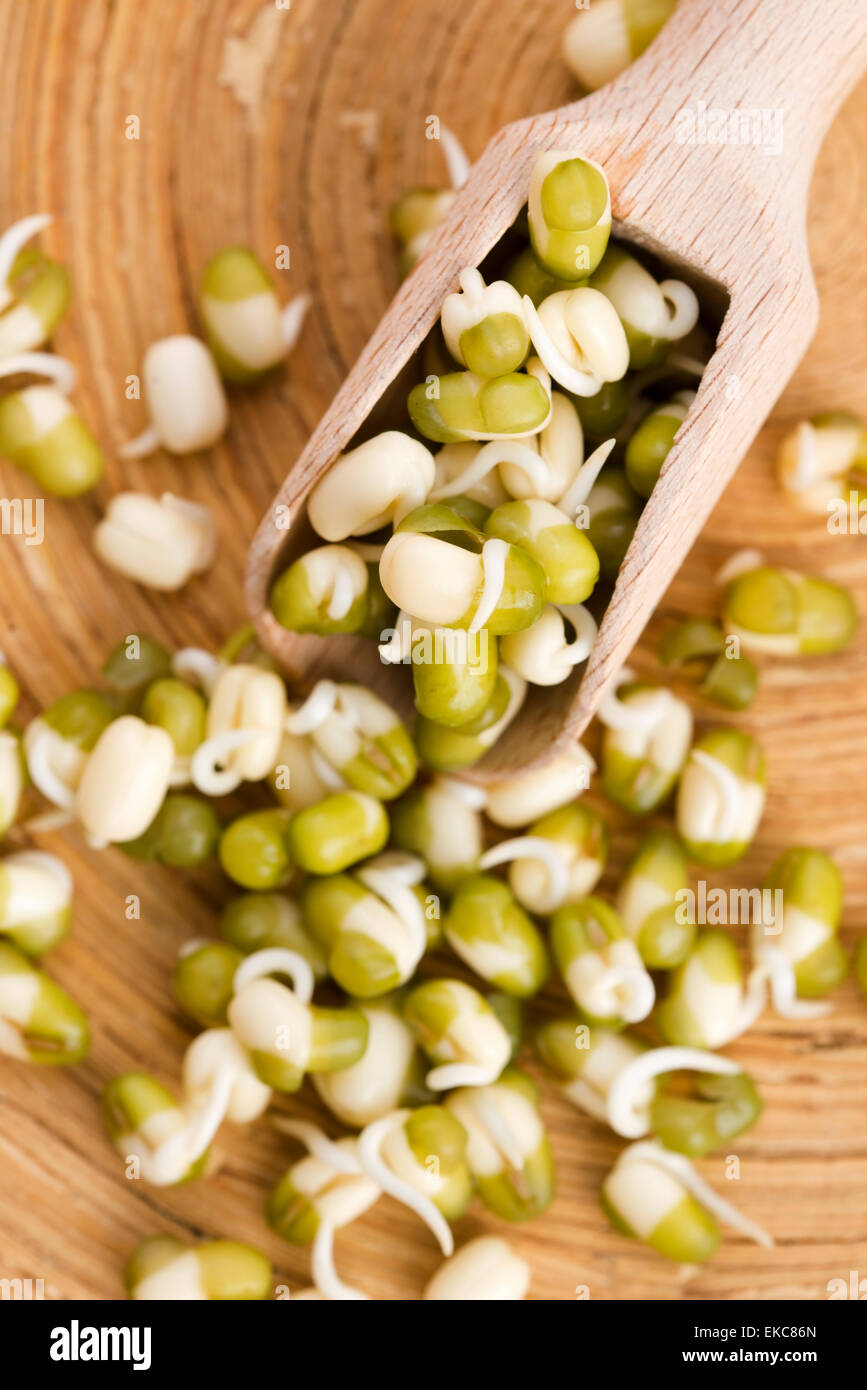 Sprouted mung beans Stock Photo - Alamy