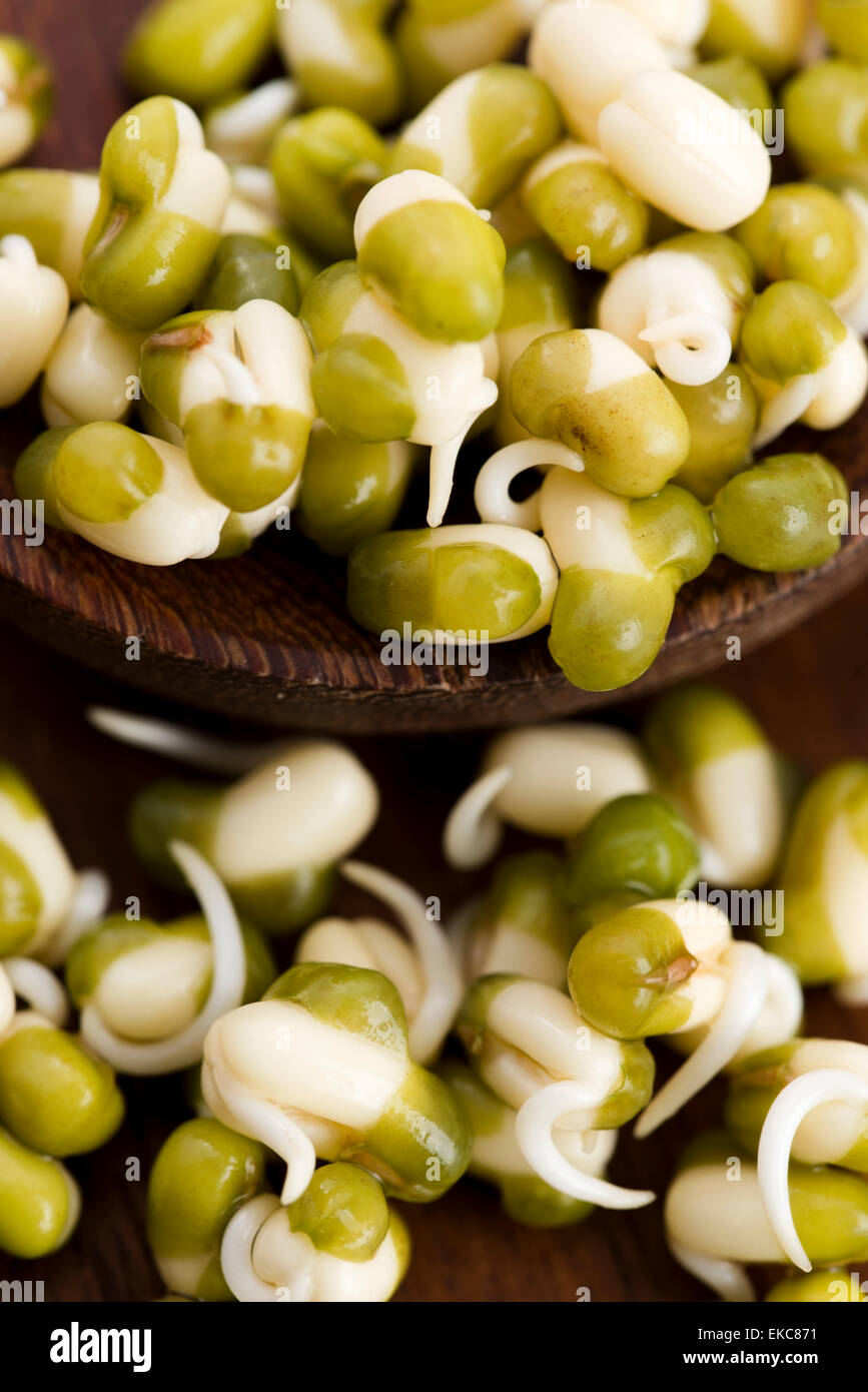 Sprouted mung beans Stock Photo - Alamy