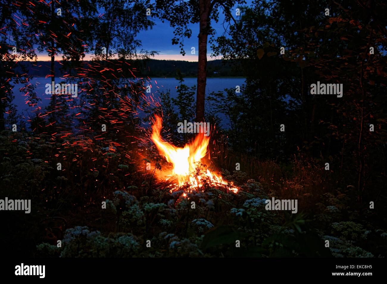 Firebird shape bonfire Stock Photo - Alamy