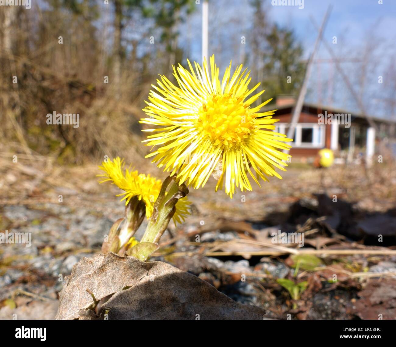 Nokia house finland hi-res stock photography and images - Alamy