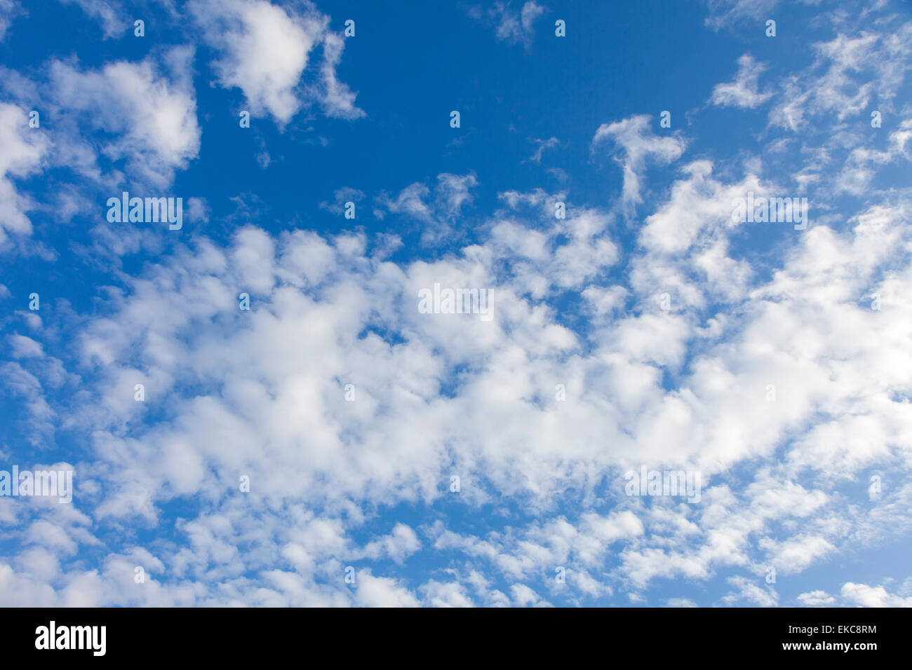 Cloud, Cirrocumulus clouds, fluffy clouds, high altitude Stock Photo ...