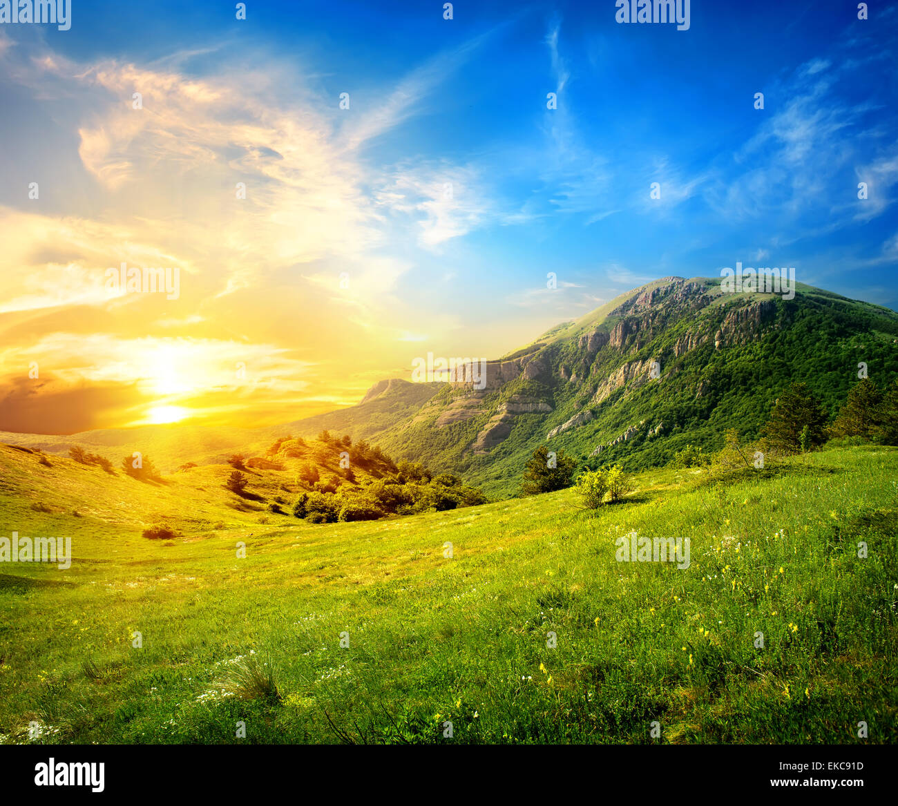 Background green mountain meadow hi-res stock photography and images ...