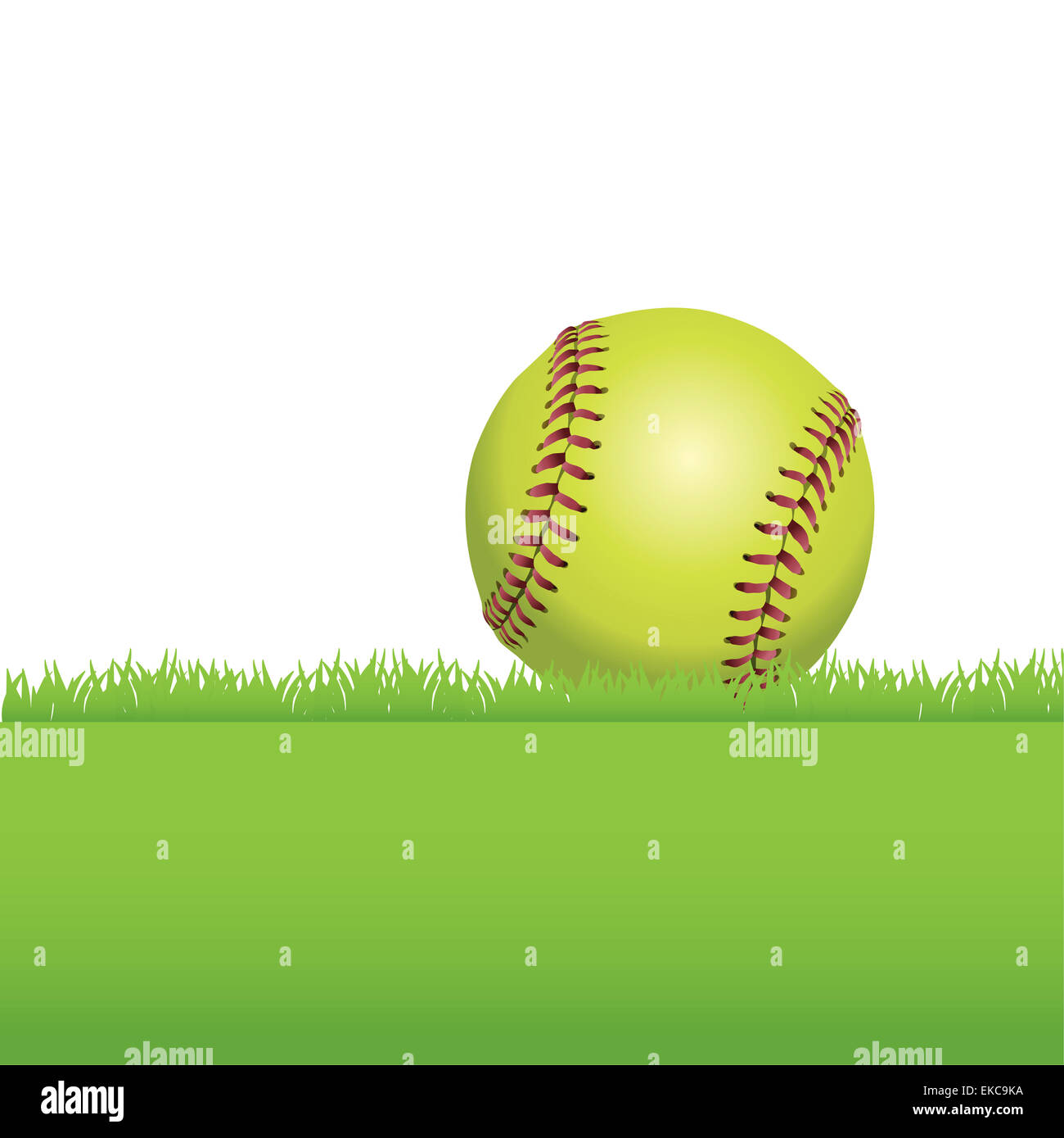 An illustration of a realistic softball sitting on green grass. Room ...