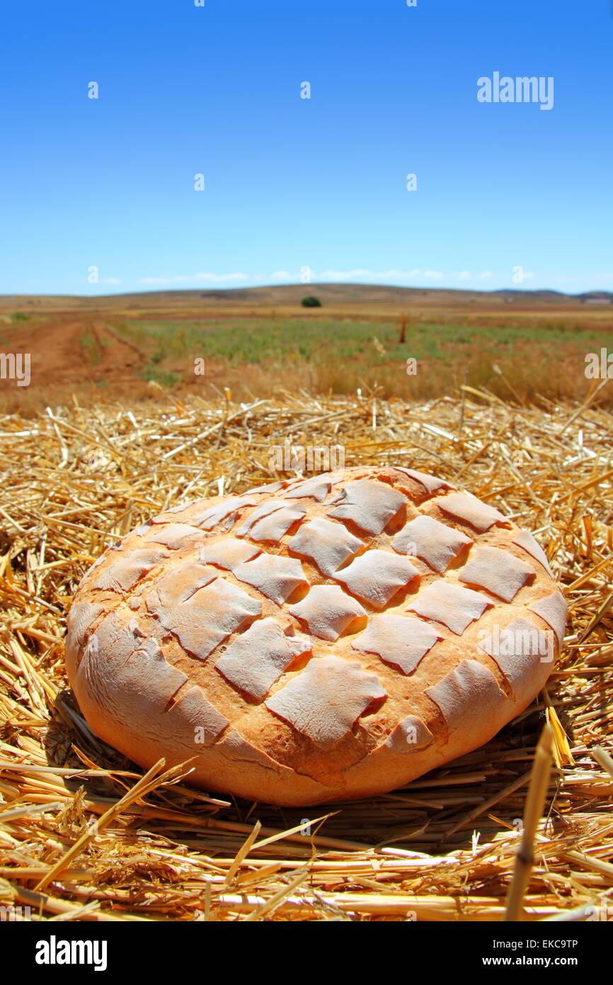 Bread bun round on golden wheat straw Stock Photo - Alamy