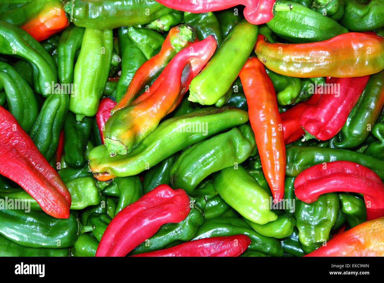Pattenr hi-res stock photography and images - Alamy