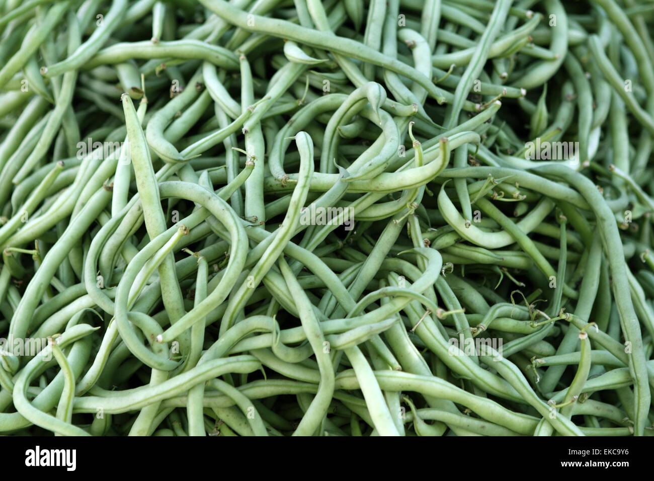 green beans stack market shop texture Stock Photo - Alamy