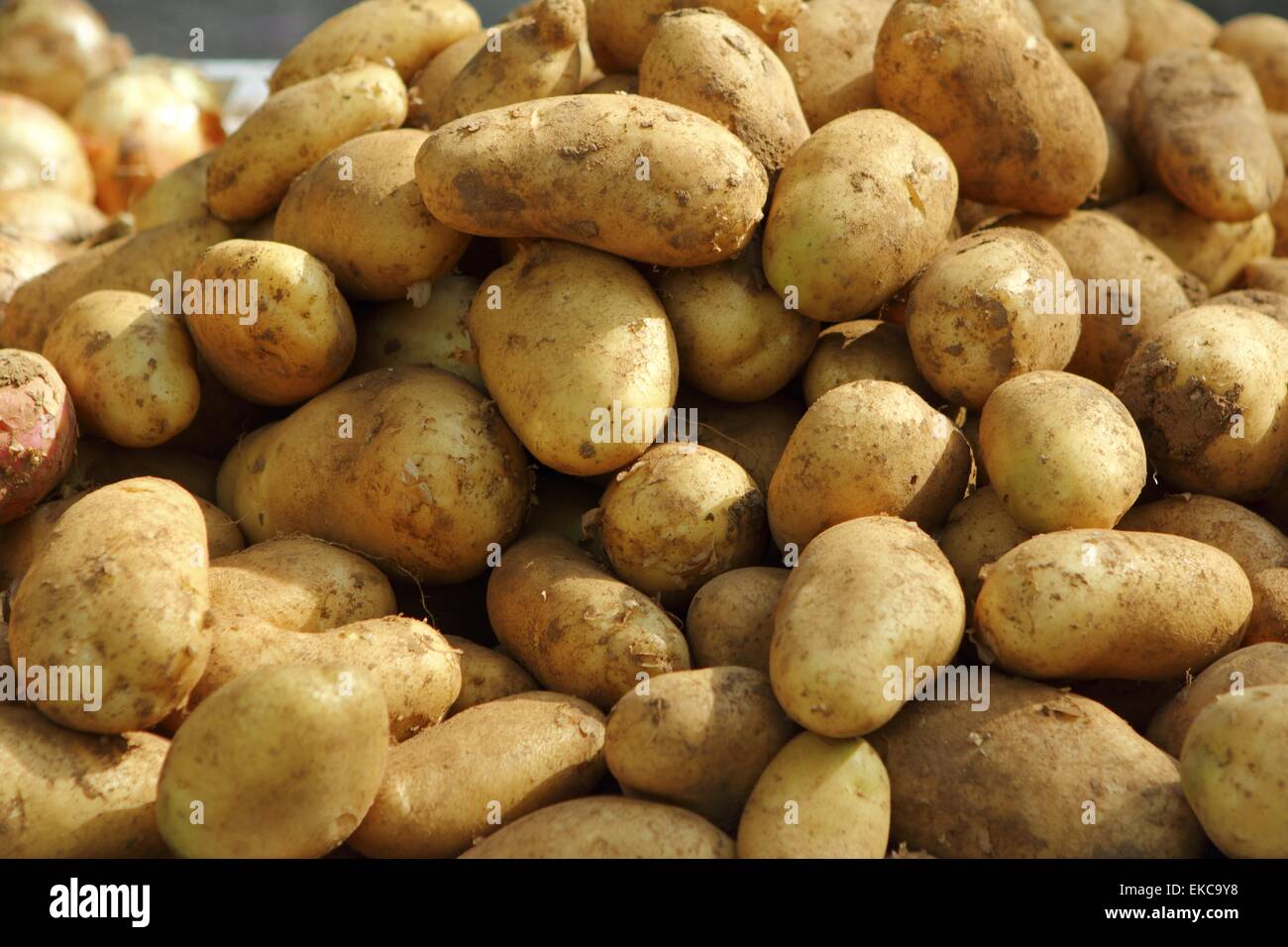 potatoes on market texture background Stock Photo - Alamy