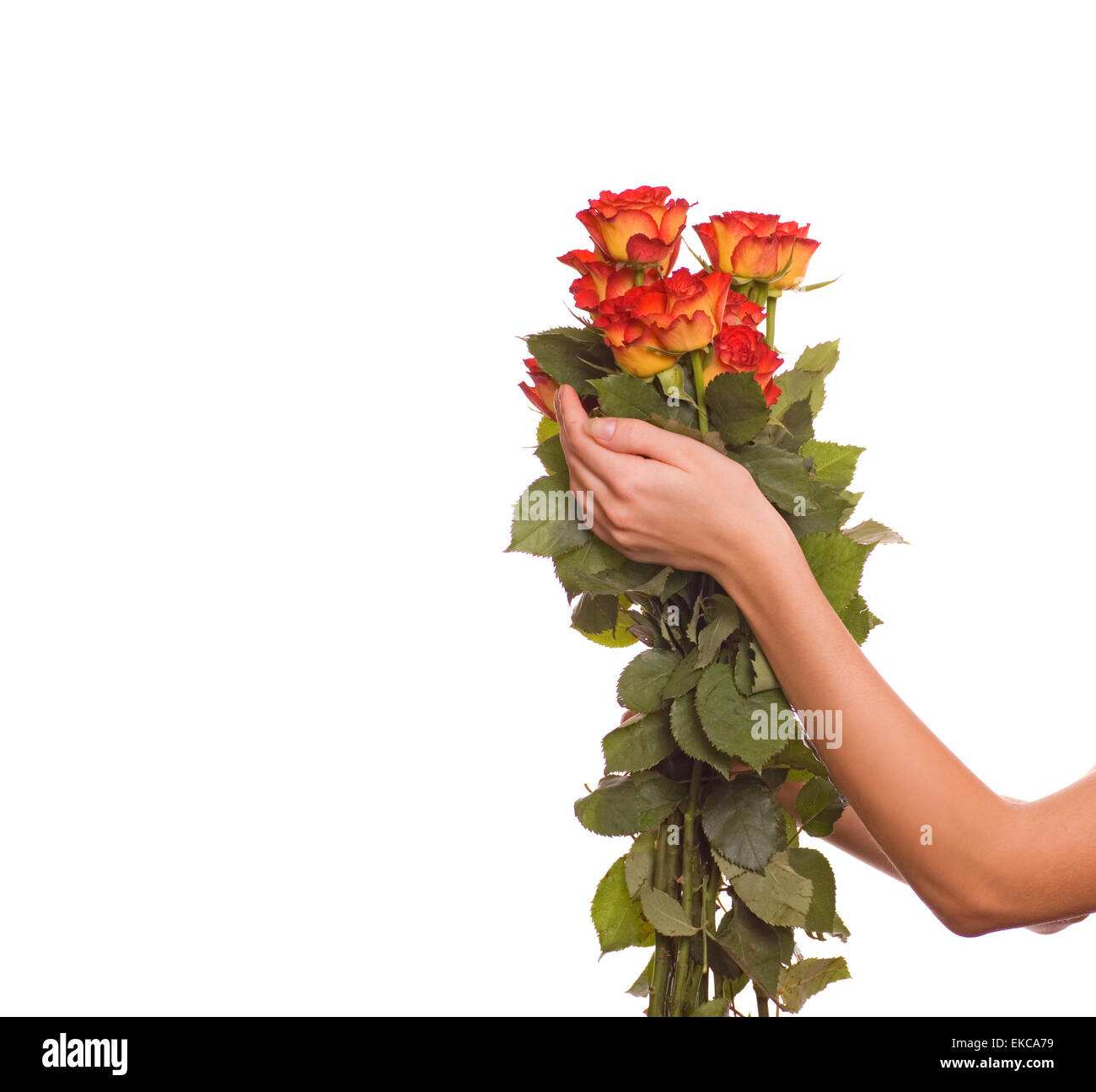 Woman's hands with a bunch of roses Stock Photo - Alamy