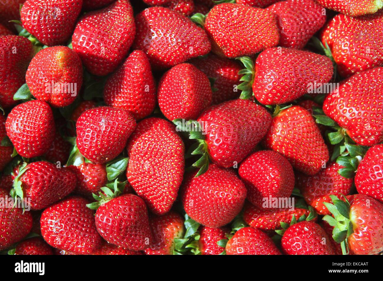 red strawberries pattern in maket box Stock Photo - Alamy