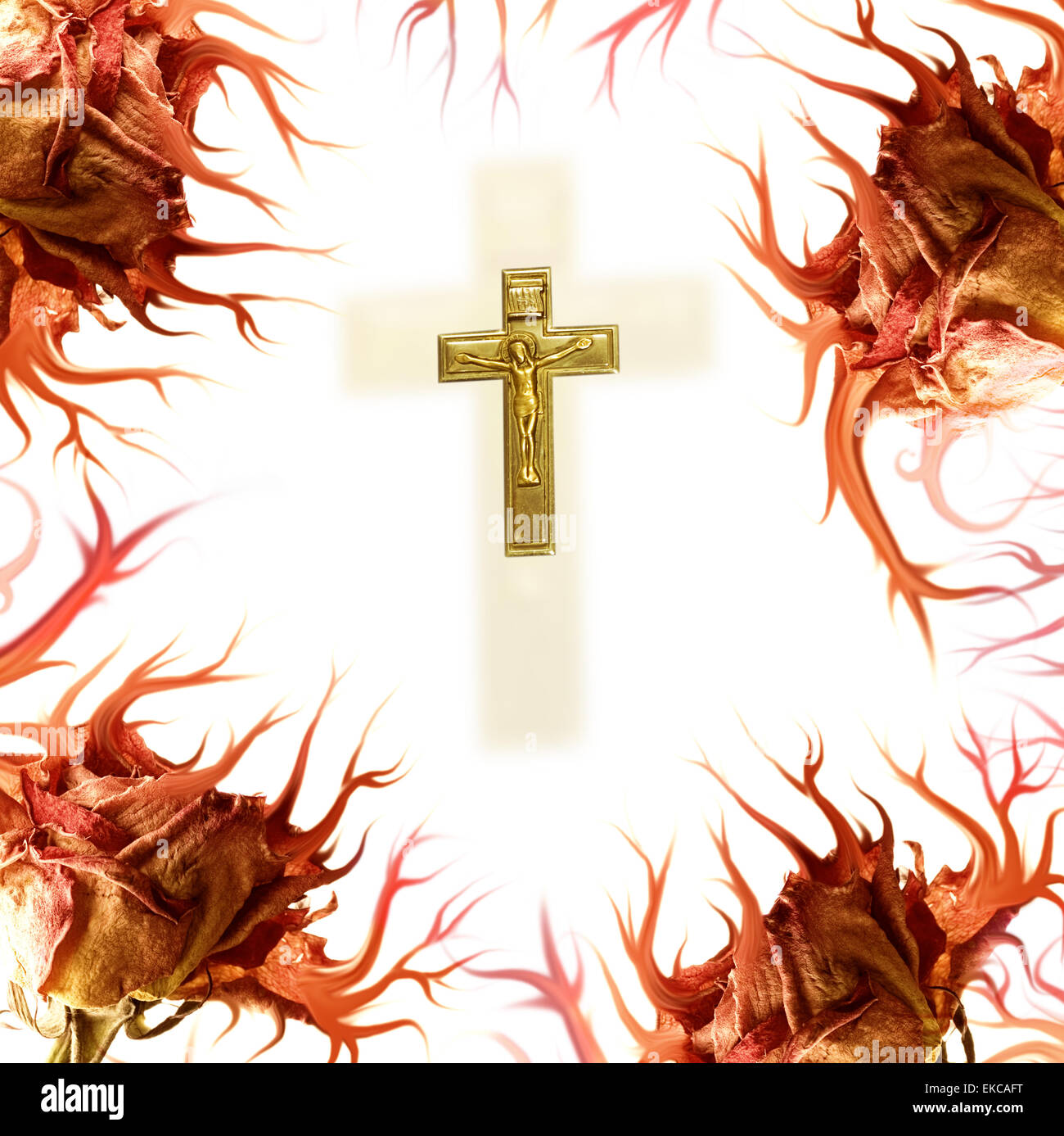 Rose Cross's Instagram, Twitter & Facebook on IDCrawl