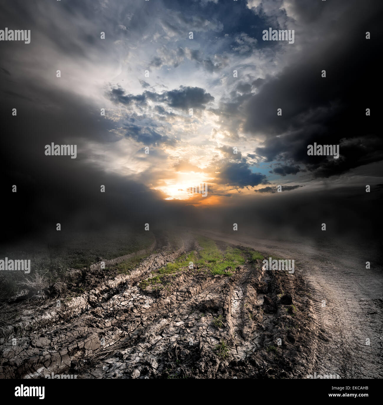Fog over country road Stock Photo - Alamy