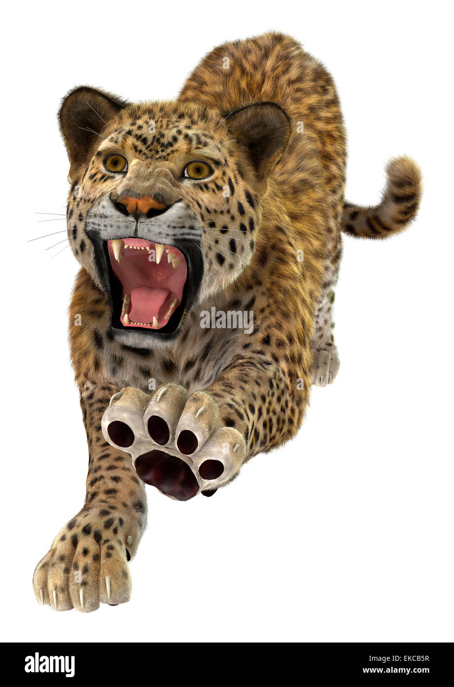 3D digital render of a stretching leopard isolated on white background ...