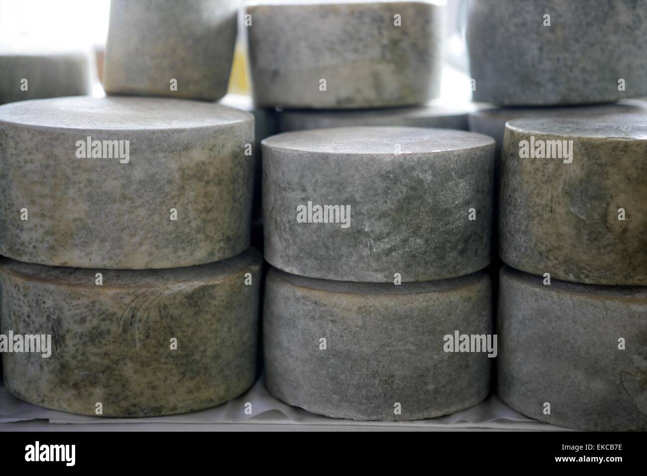 Aged french cheese wheels stacked Stock Photo - Alamy