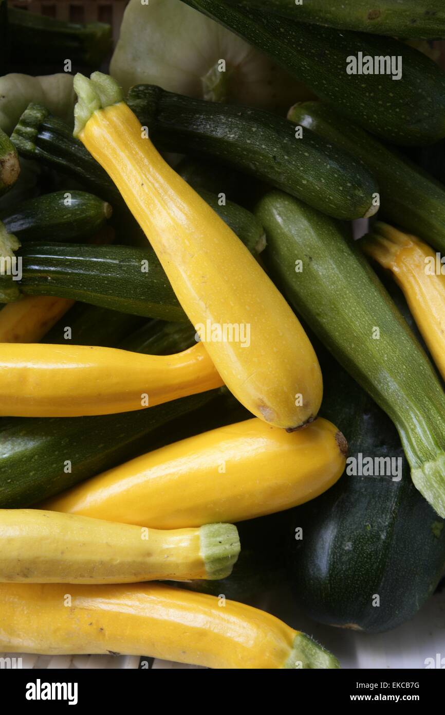 Green and yellow courgette in the marketplace Stock Photo - Alamy