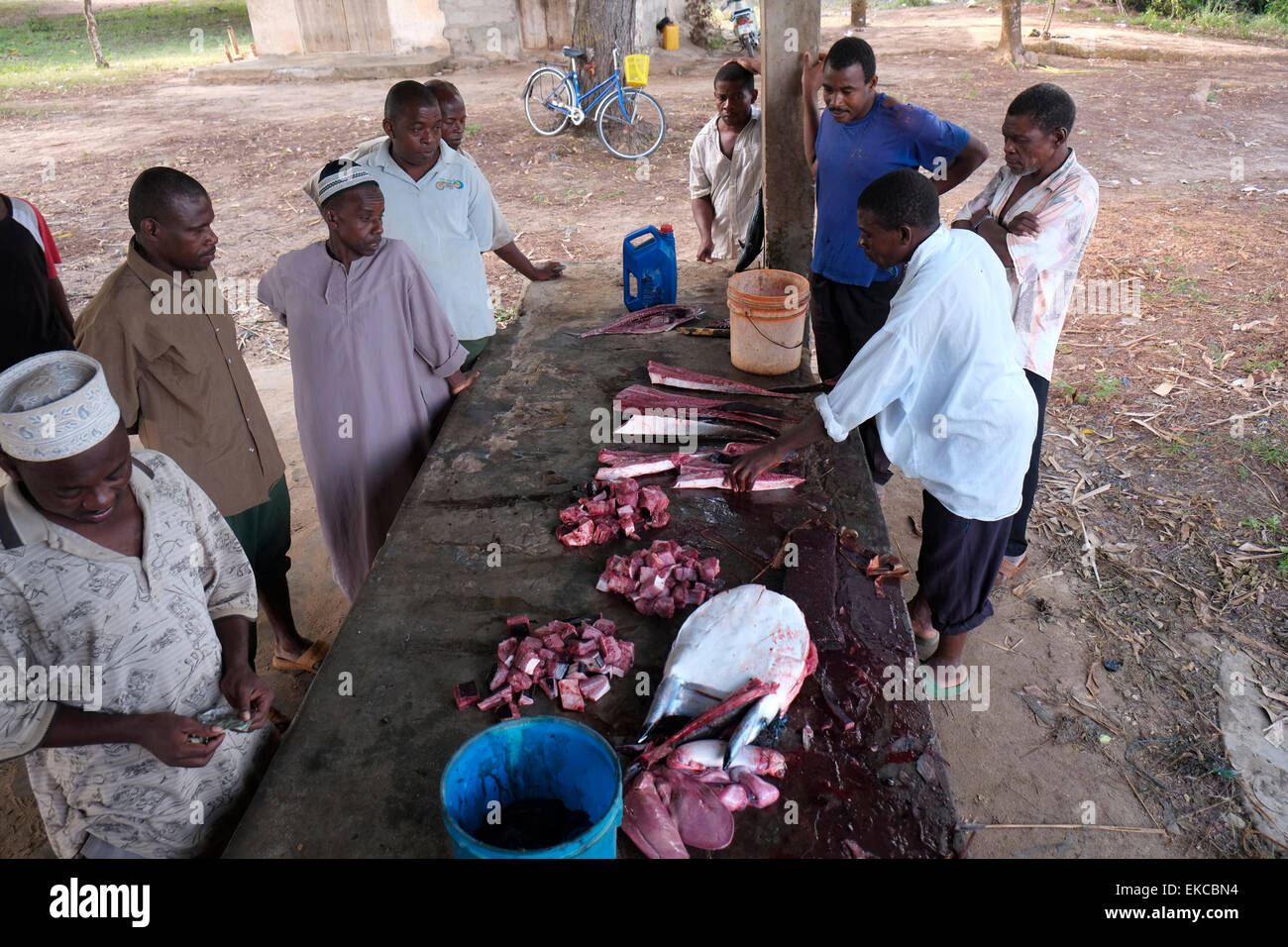 Fishmonger selling fresh fish in Zanzibar island a semi-autonomous part ...