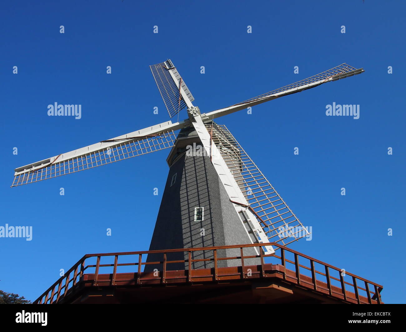The Murphy Windmill In Golden Gate Park, San Francisco, CA, USA Stock ...