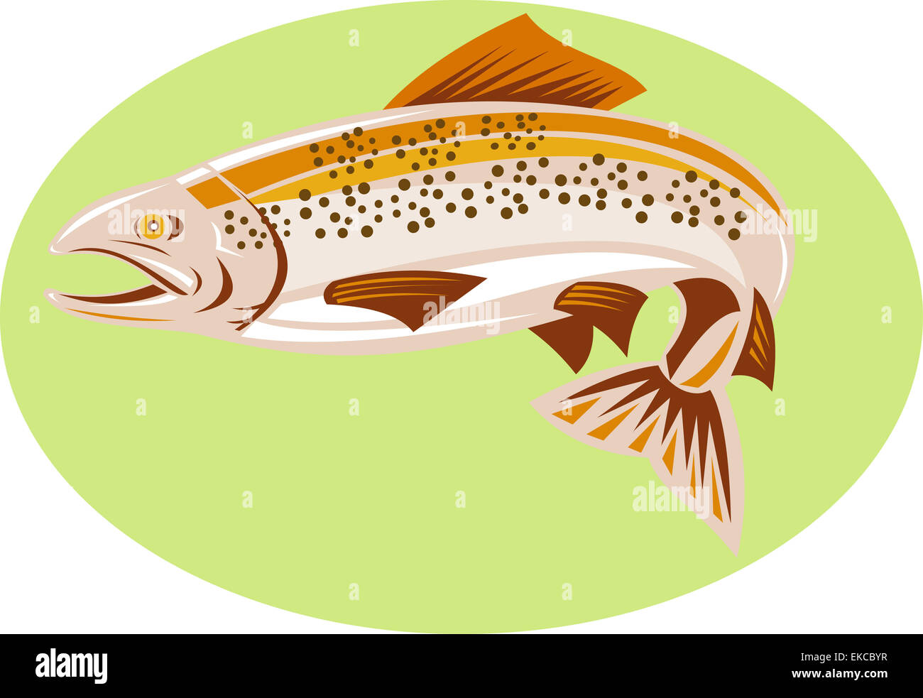 Fish illustration trout spotted speckled hi-res stock photography and ...