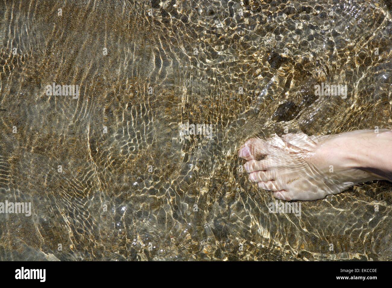 beach tourist feet walking on shore shallow water Stock Photo - Alamy