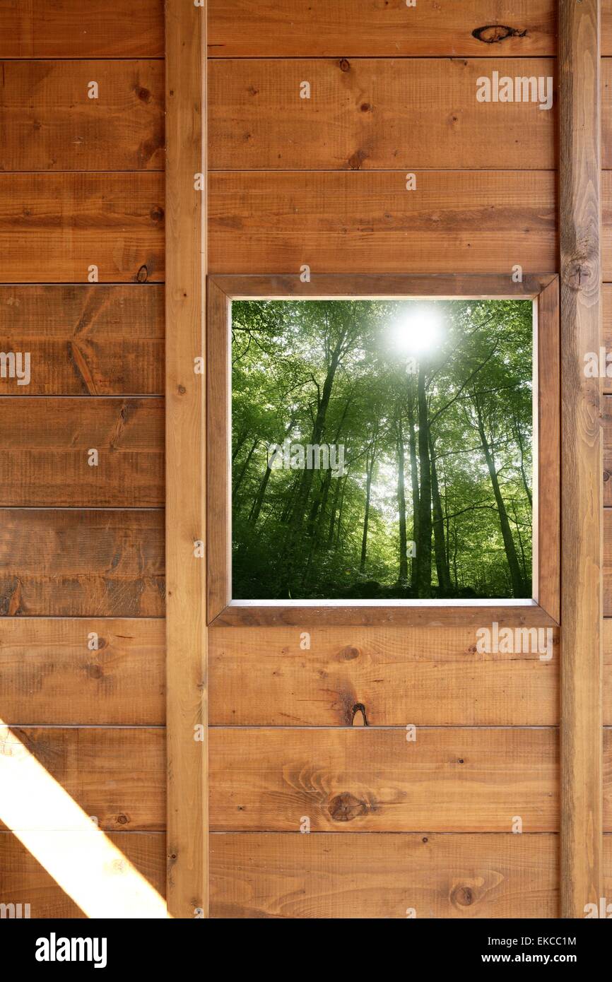 Wooden window jungle green forest view Stock Photo - Alamy