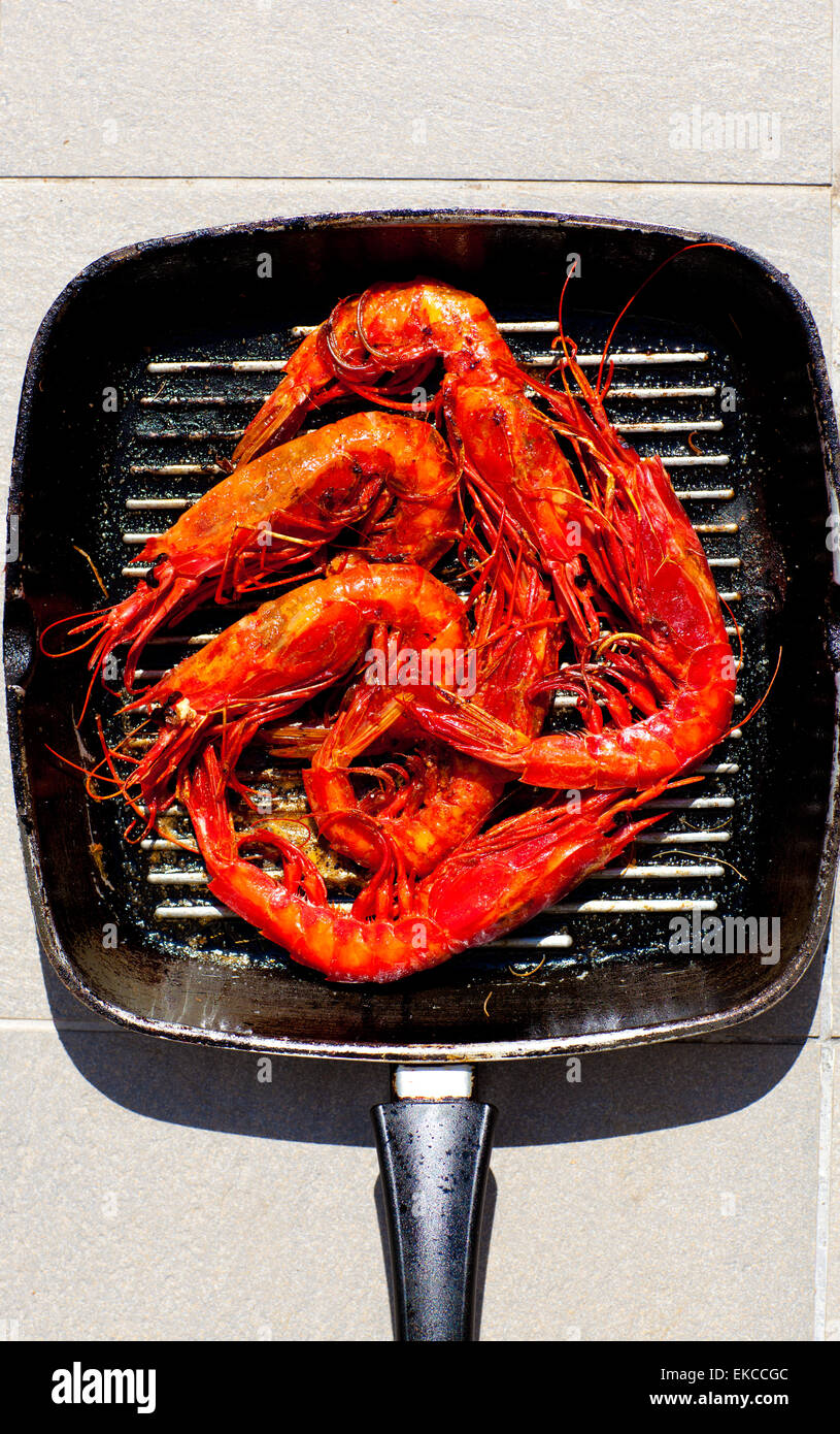 Aristaemorpha hi-res stock photography and images - Alamy