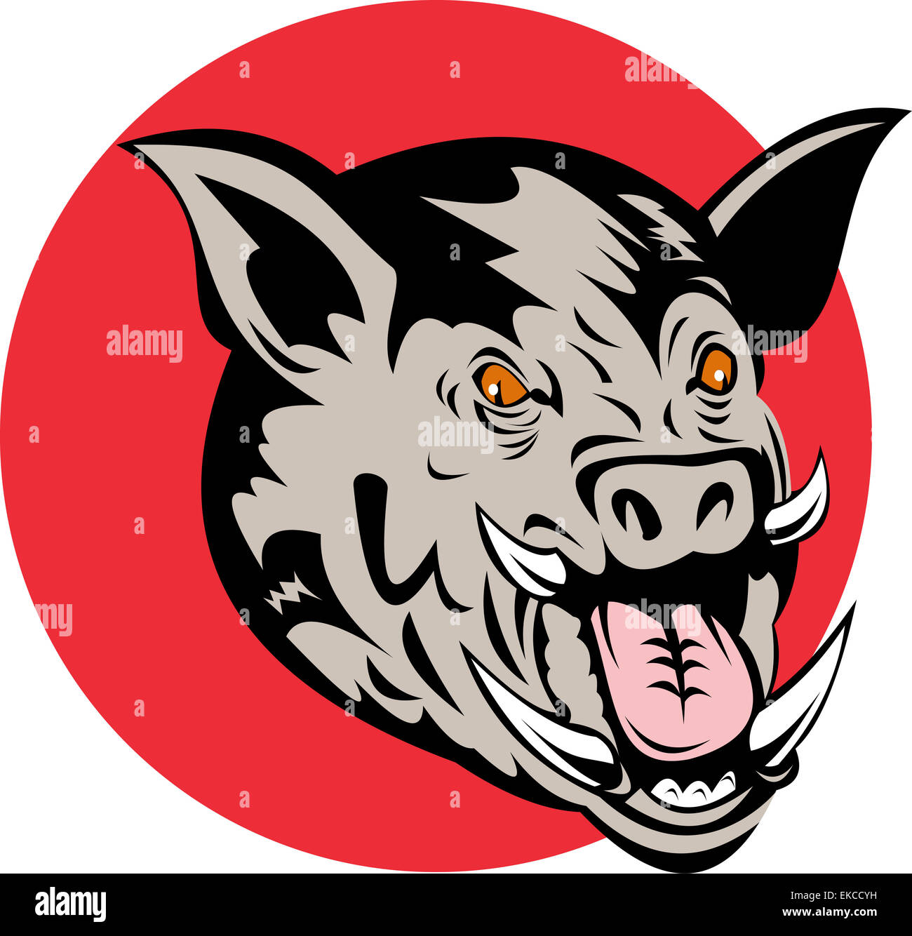 Pig boar hi-res stock photography and images - Alamy