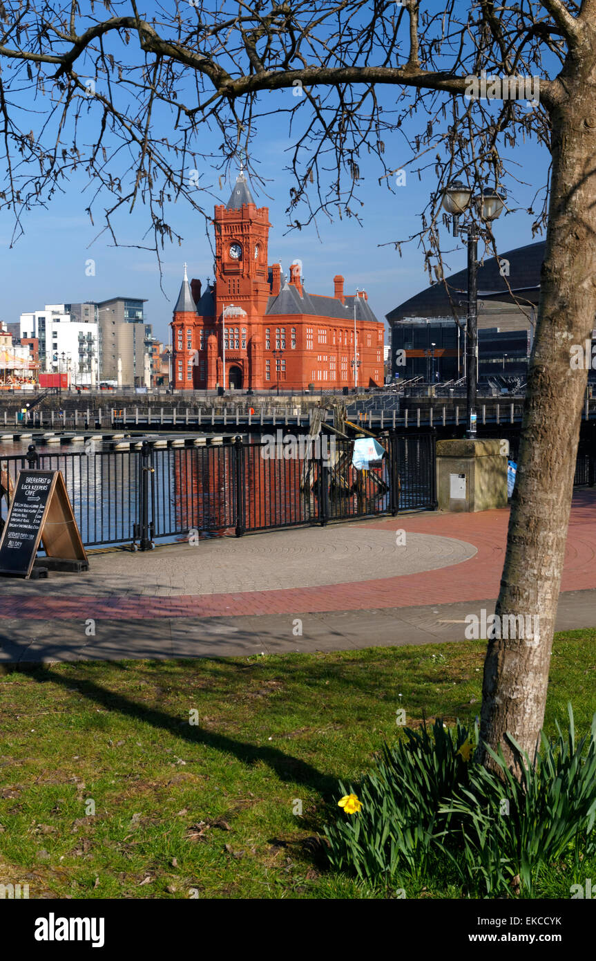 Victorian Pierhead Building and daffodils, Cardiff Bay, Cardiff, Wales ...