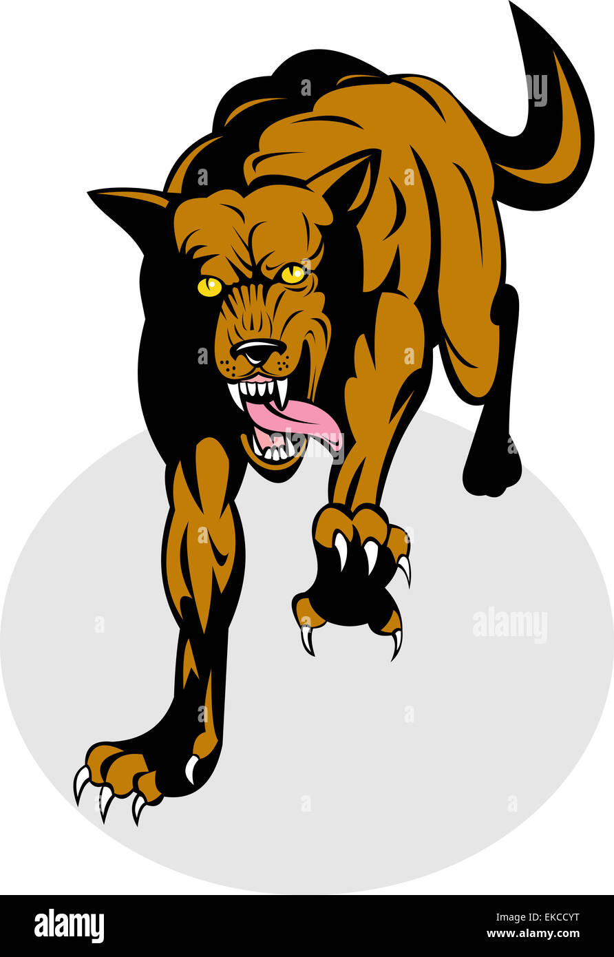 wild dog wolf attacking Stock Photo - Alamy