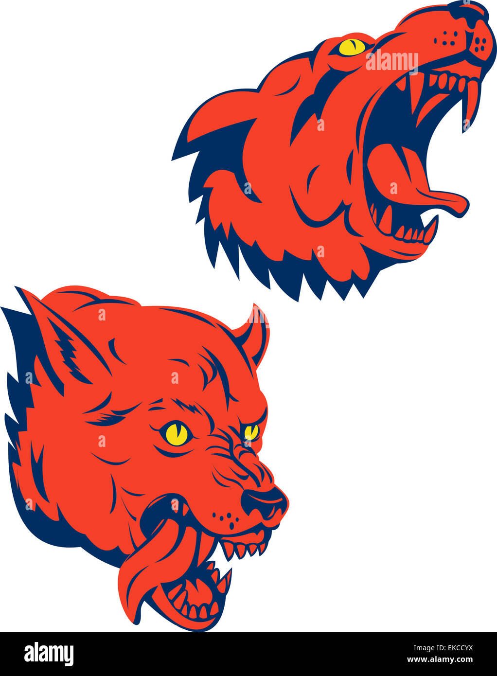 wild dog wolf attacking barking Stock Photo - Alamy