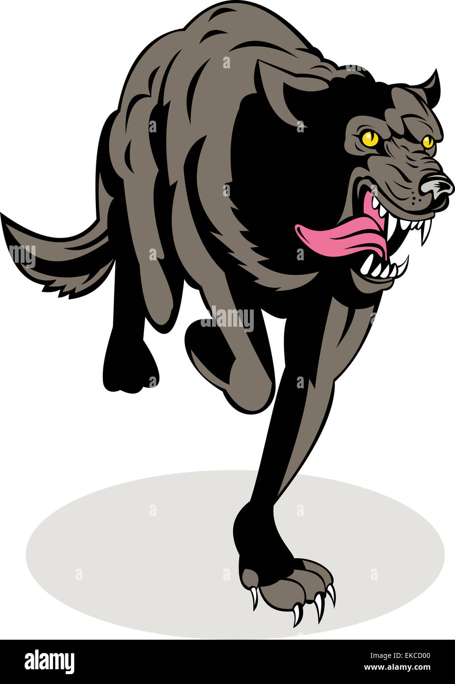 Wolf attacking hi-res stock photography and images - Alamy