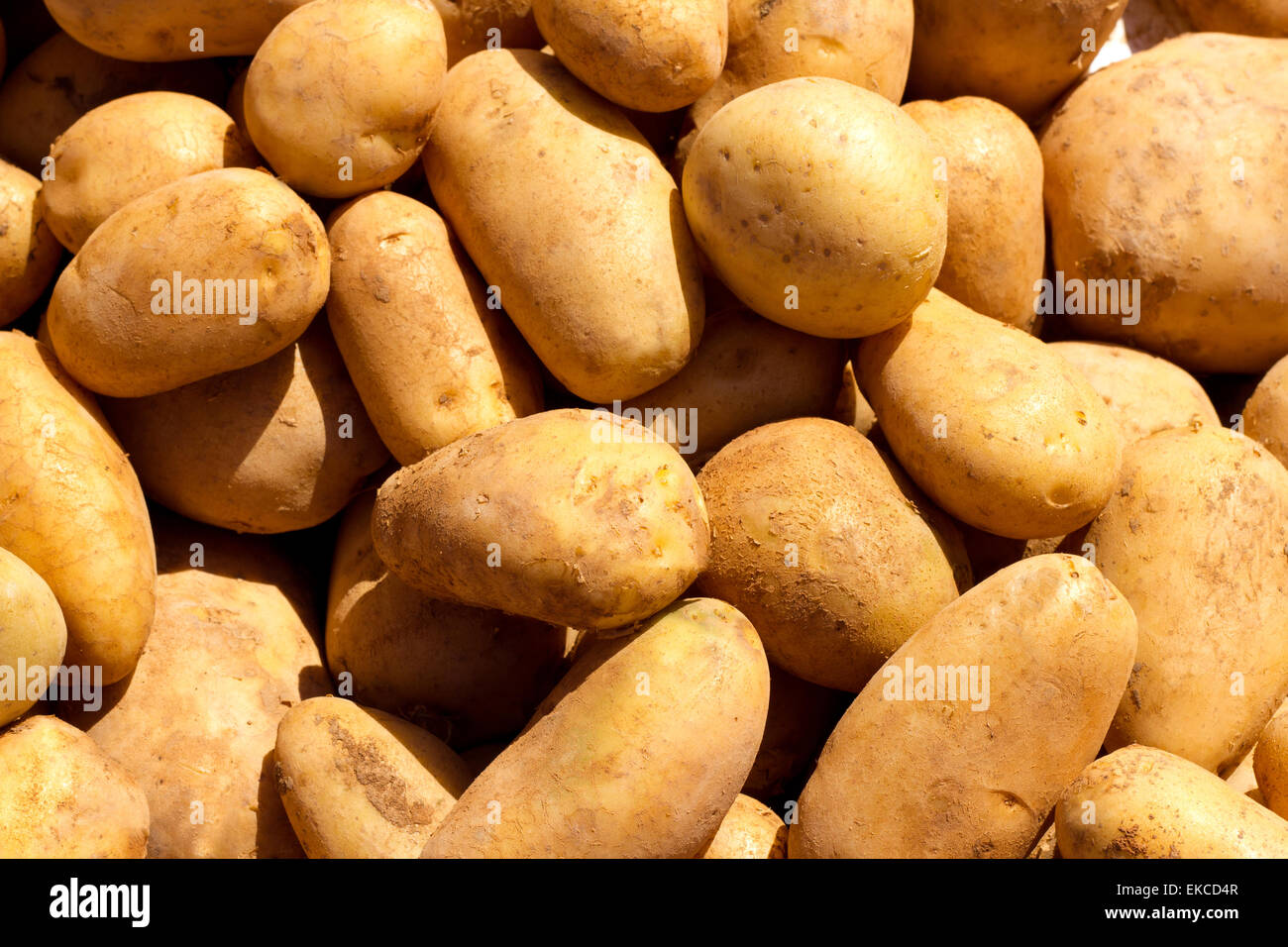 brown potatoes pattern texture Stock Photo - Alamy
