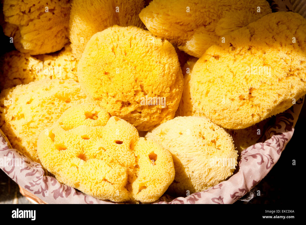 marine yellow bath sponge pattern Stock Photo - Alamy