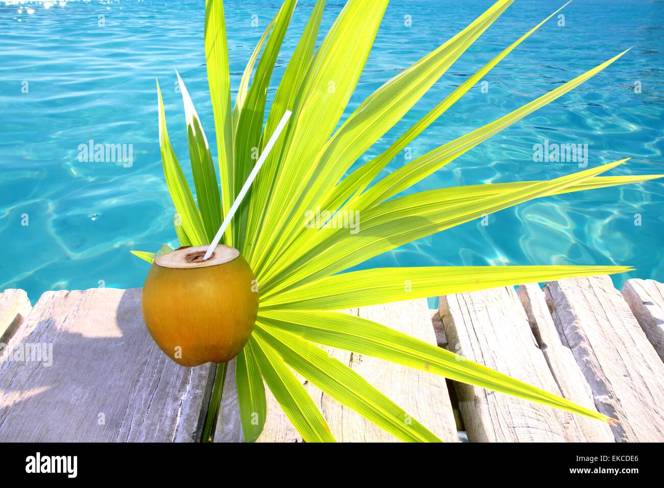 coconuts cocktail palm tree leaf in Caribbean Stock Photo - Alamy