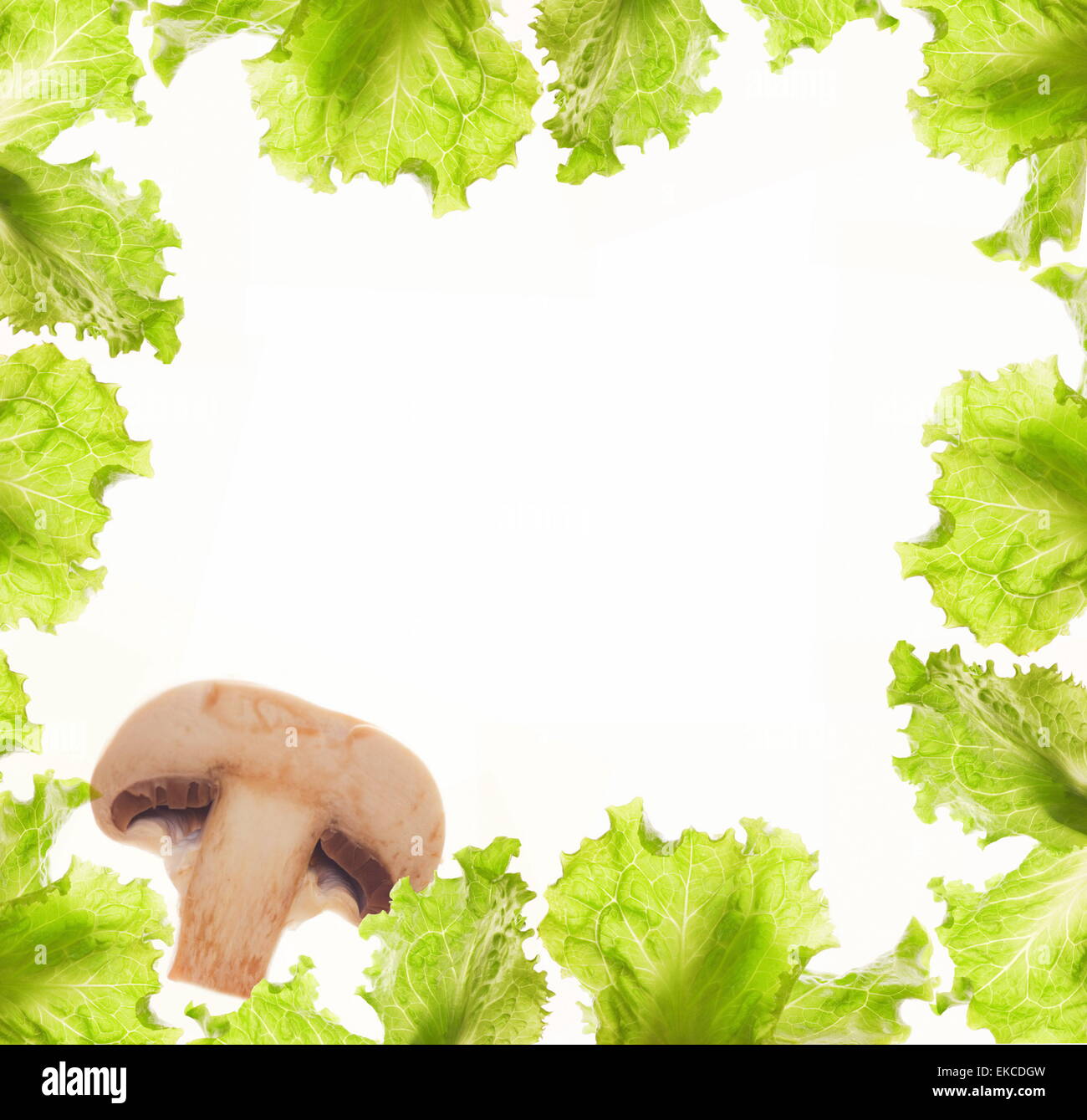 Salad and mushroom border Stock Photo - Alamy