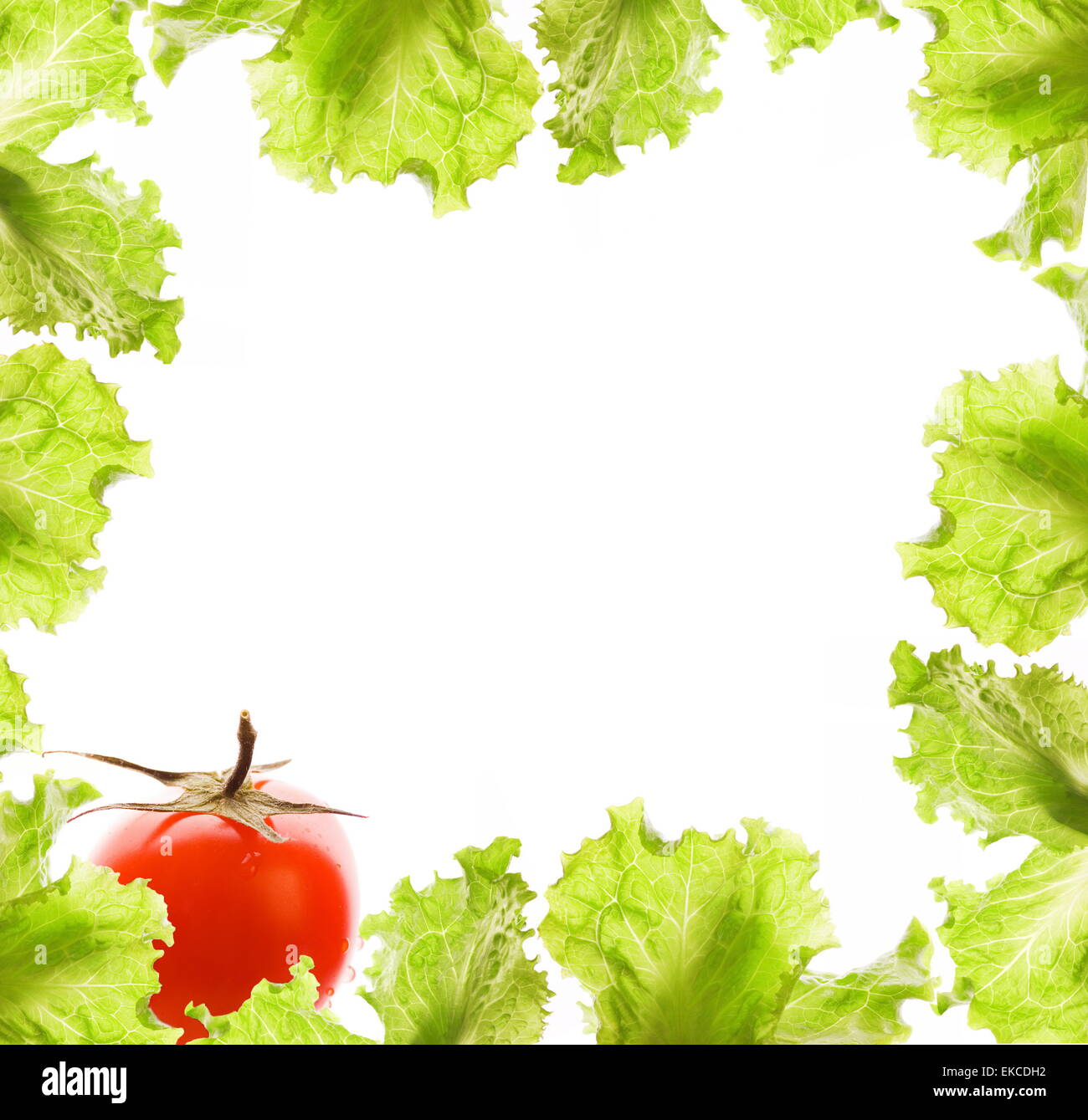 Salad and tomato border Stock Photo - Alamy