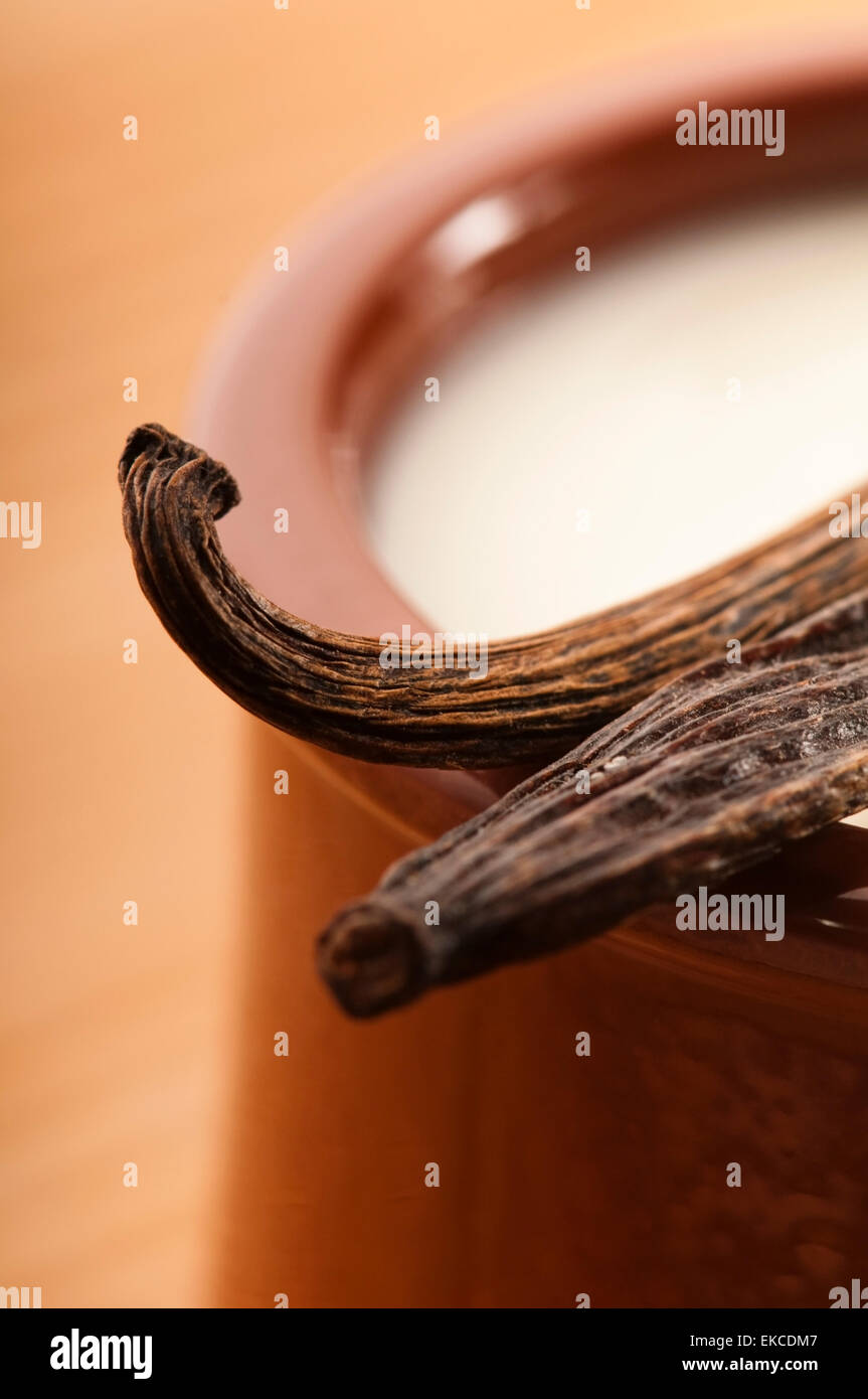 Sweet vanilla pudding dessert Stock Photo - Alamy