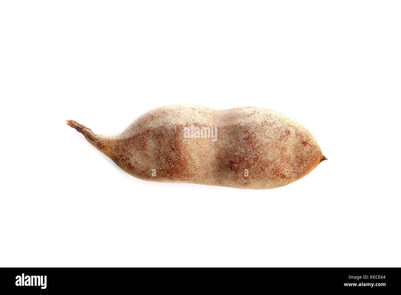 Tamarind Tamarindus indica Legumes isolated Stock Photo - Alamy