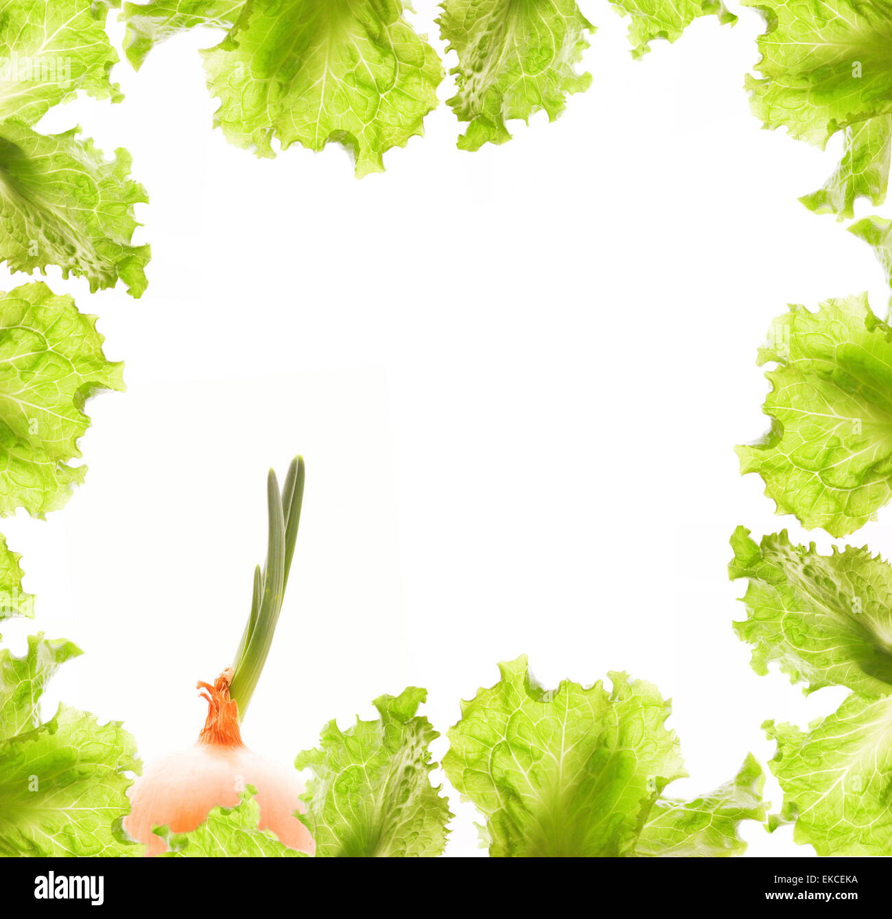 Salad and onion border Stock Photo - Alamy