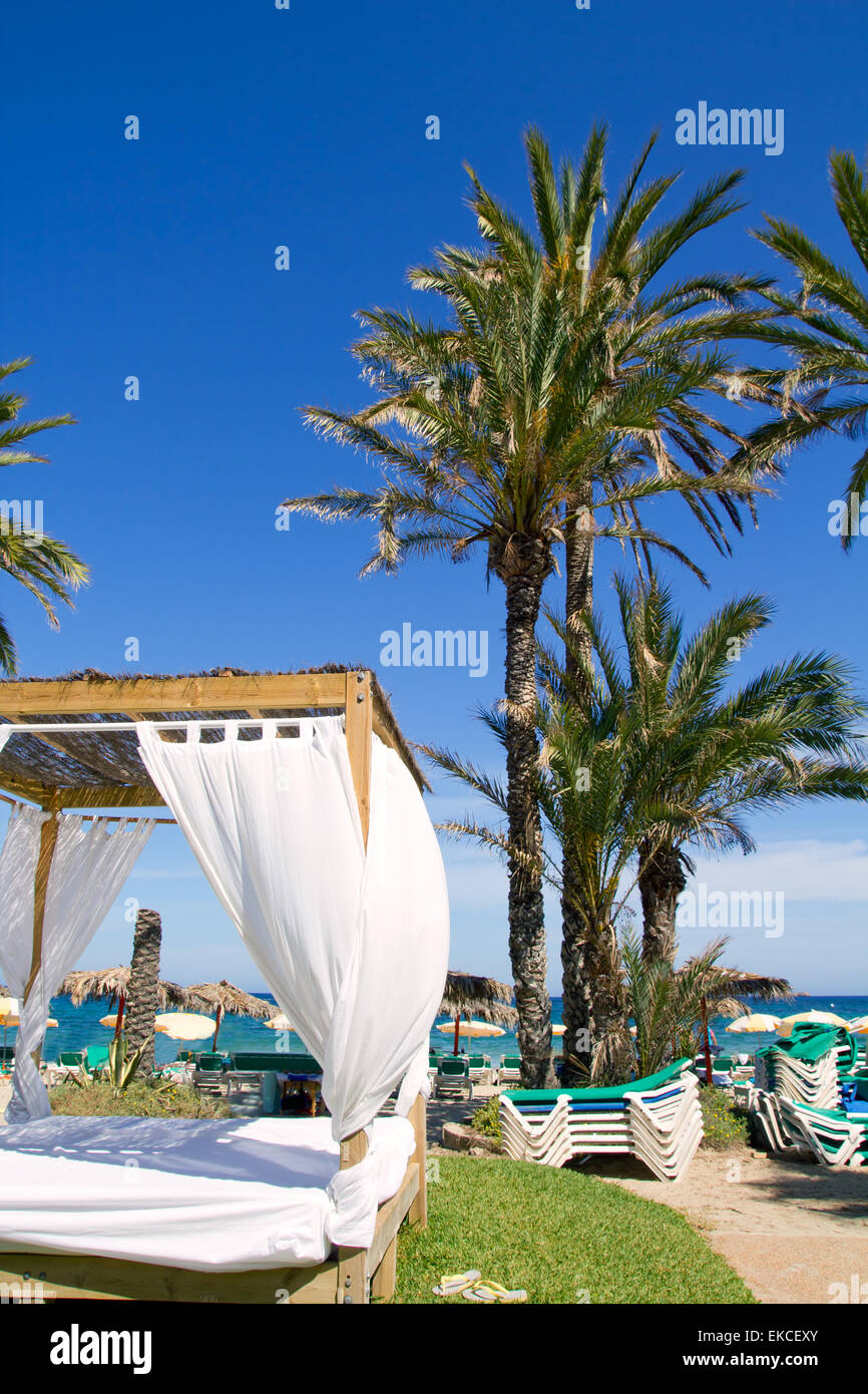 Ibiza Platja En bossa beach with palm trees Stock Photo - Alamy