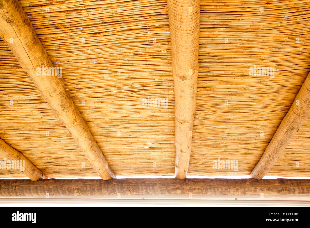 Cane sunroof with round wood beams Stock Photo - Alamy