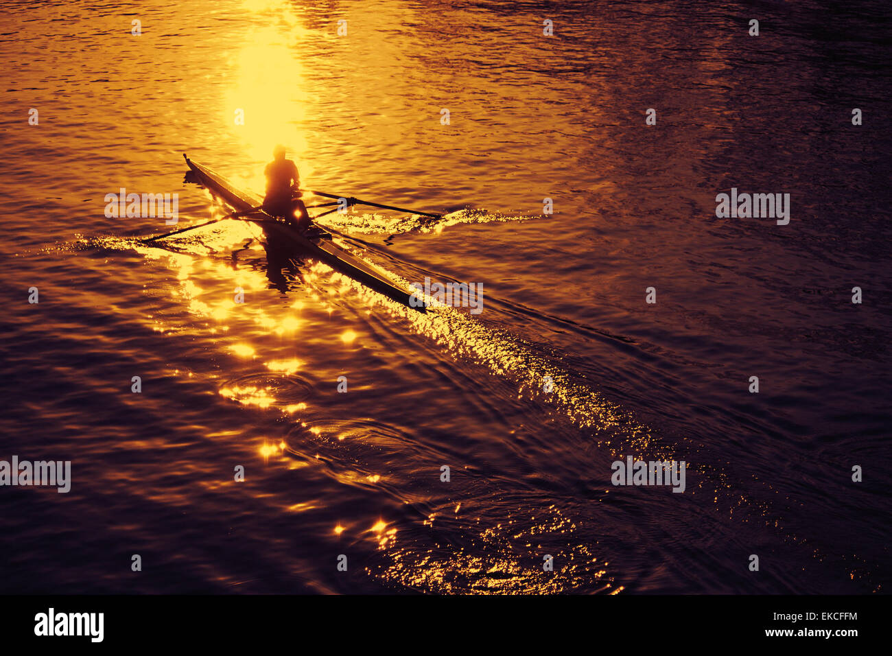Rower at sunset Stock Photo - Alamy