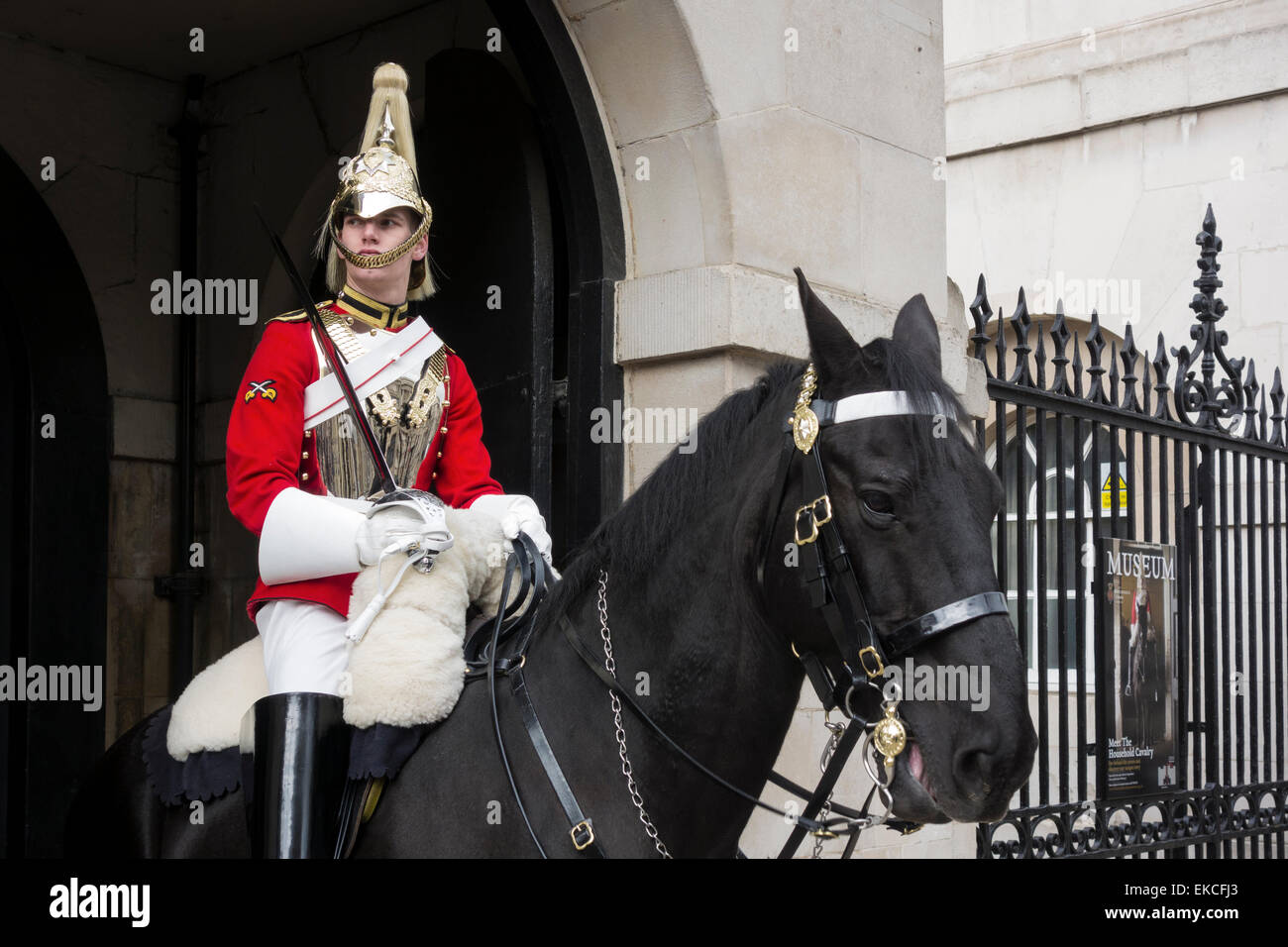Life Guard at Horse Guard's Parade, Whitehall, London, UK Stock Photo ...
