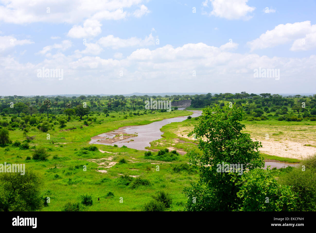 Tarangire River landscape Tarangire National Park, Manyara Region ...