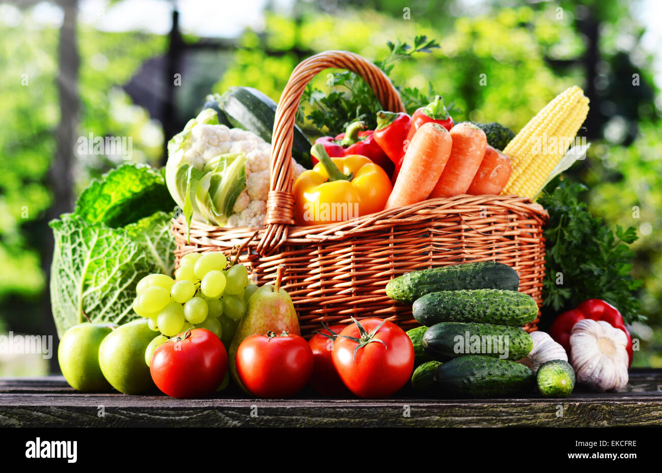 Wicker basket with assorted raw organic vegetables in the garden Stock ...