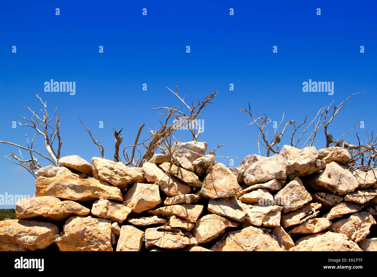 Mediterranean dried branches and masonry wall Stock Photo - Alamy