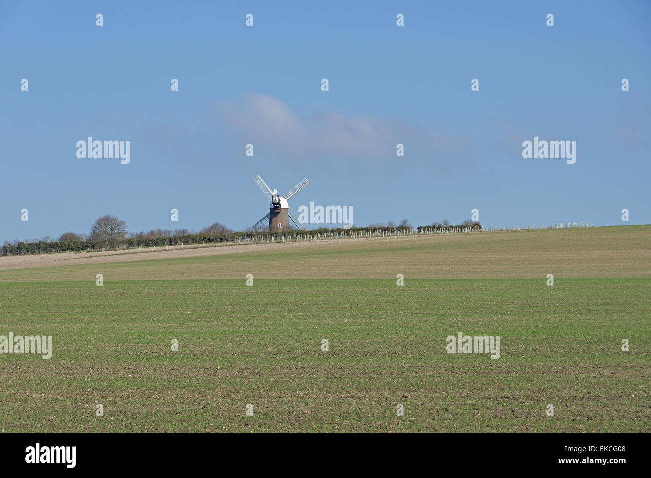 Wilton Windmill with wooden sails Stock Photo - Alamy
