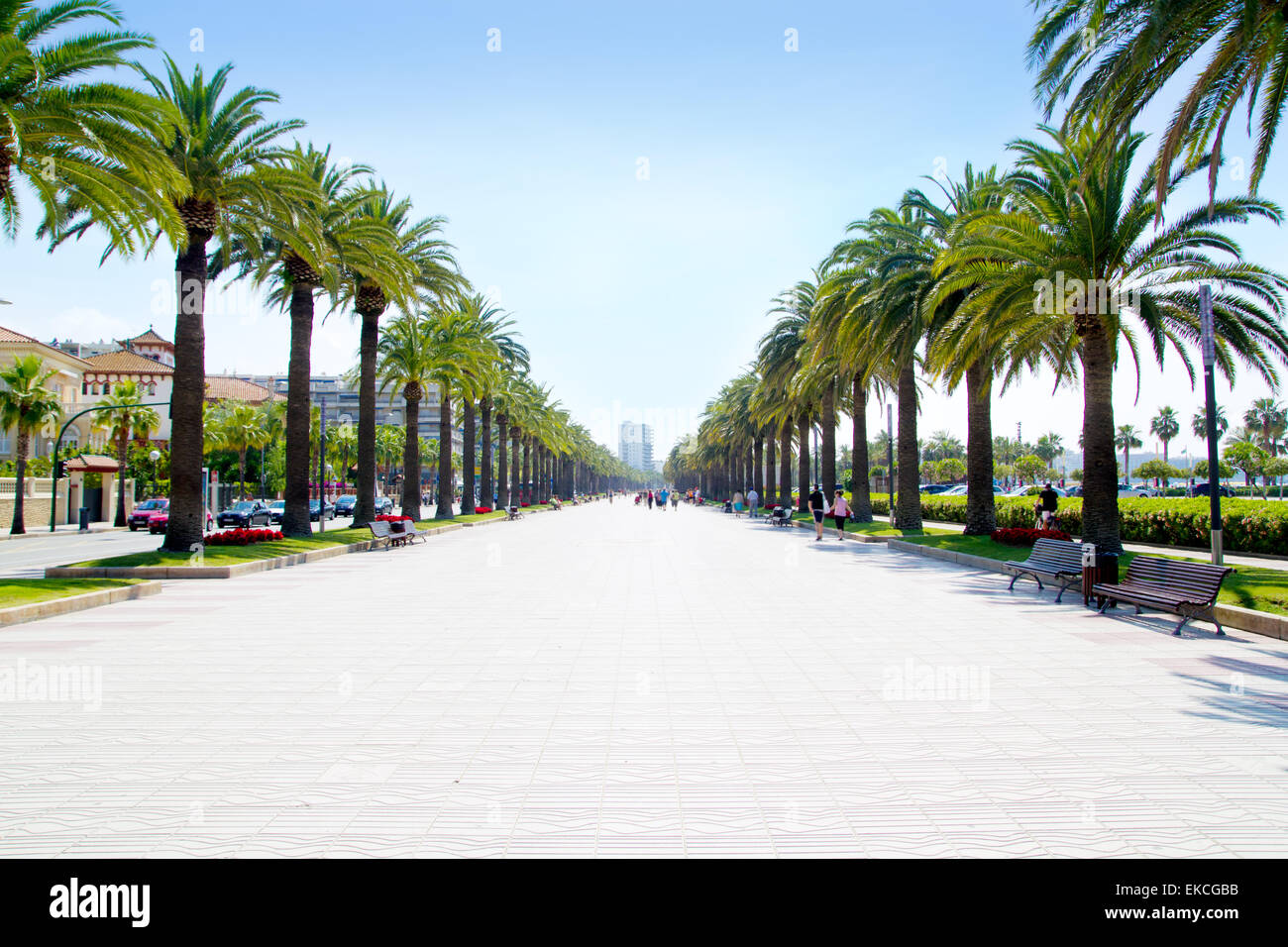 beach boulevard in Salou with palm trees Stock Photo - Alamy