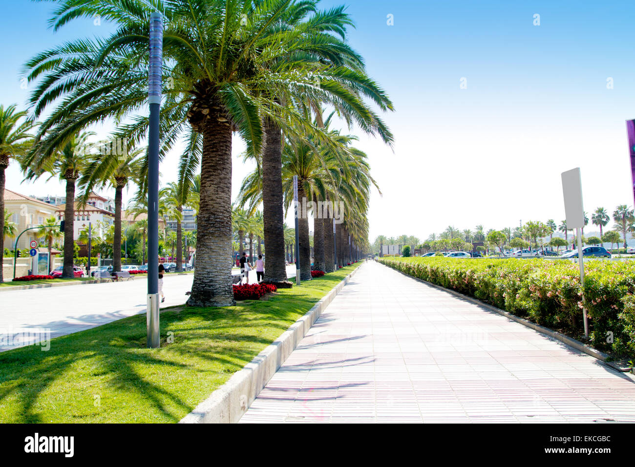 beach boulevard in Salou with palm trees Stock Photo - Alamy