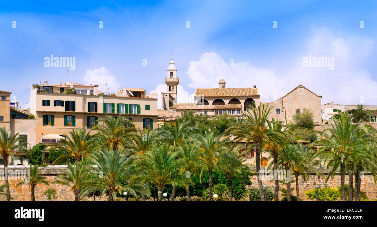 Majorca Cathedral garden with palm trees and Calatrava Stock Photo - Alamy