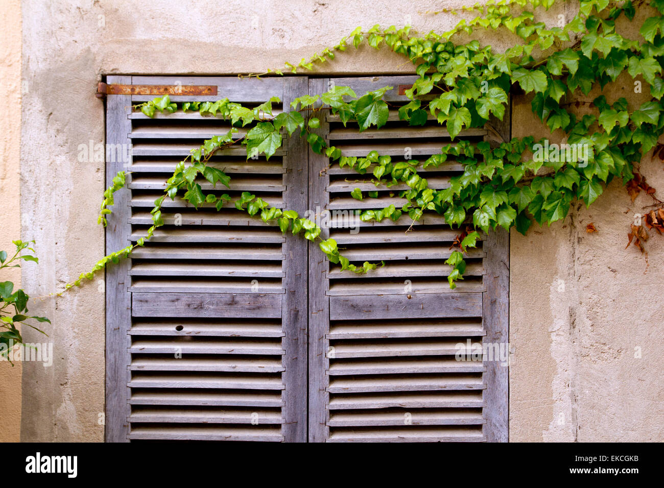 Majorca traditional wood windows mallorquina shutters Stock Photo - Alamy
